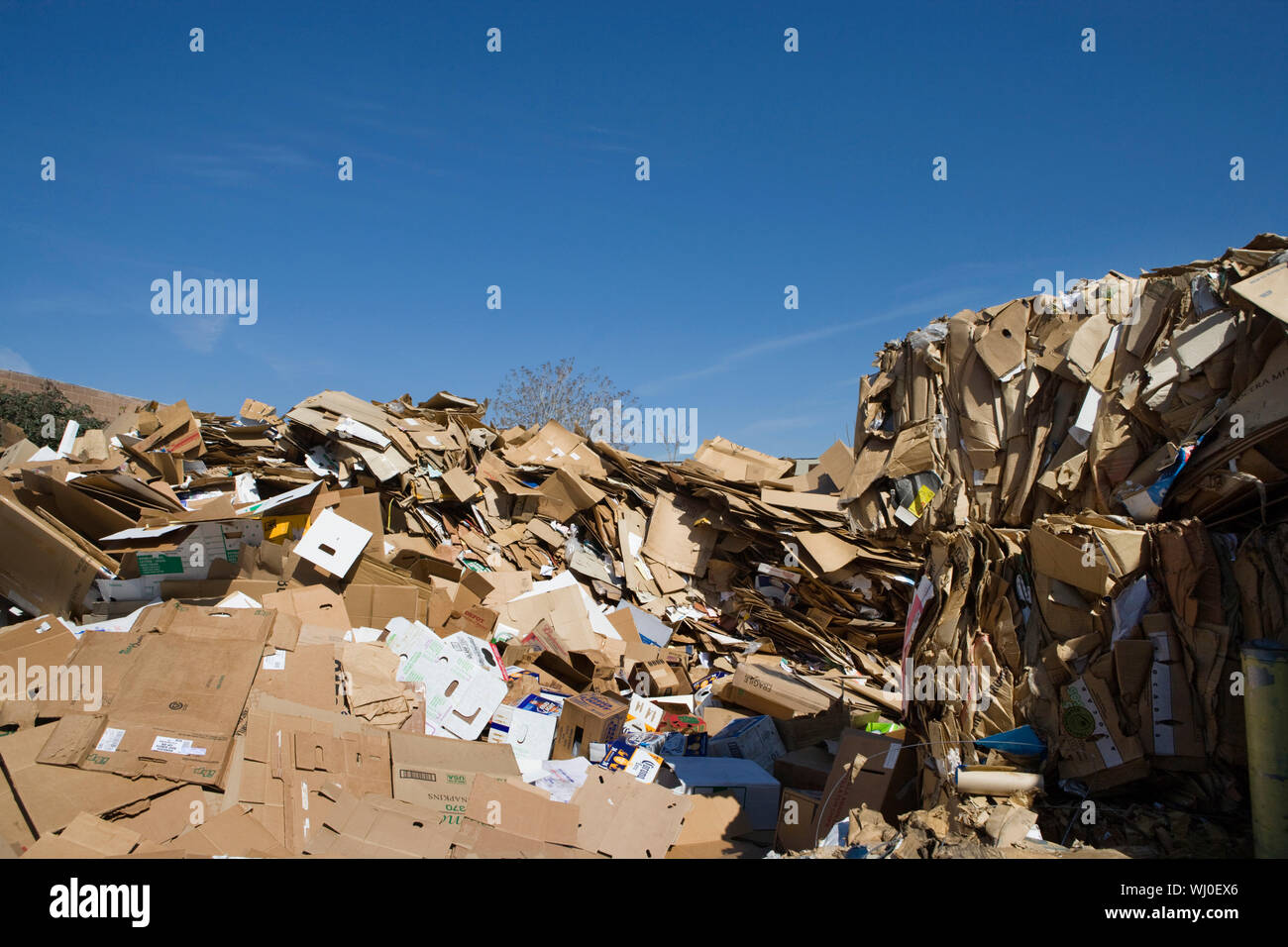 Pile of cardboard boxes in recycling centre Stock Photo - Alamy