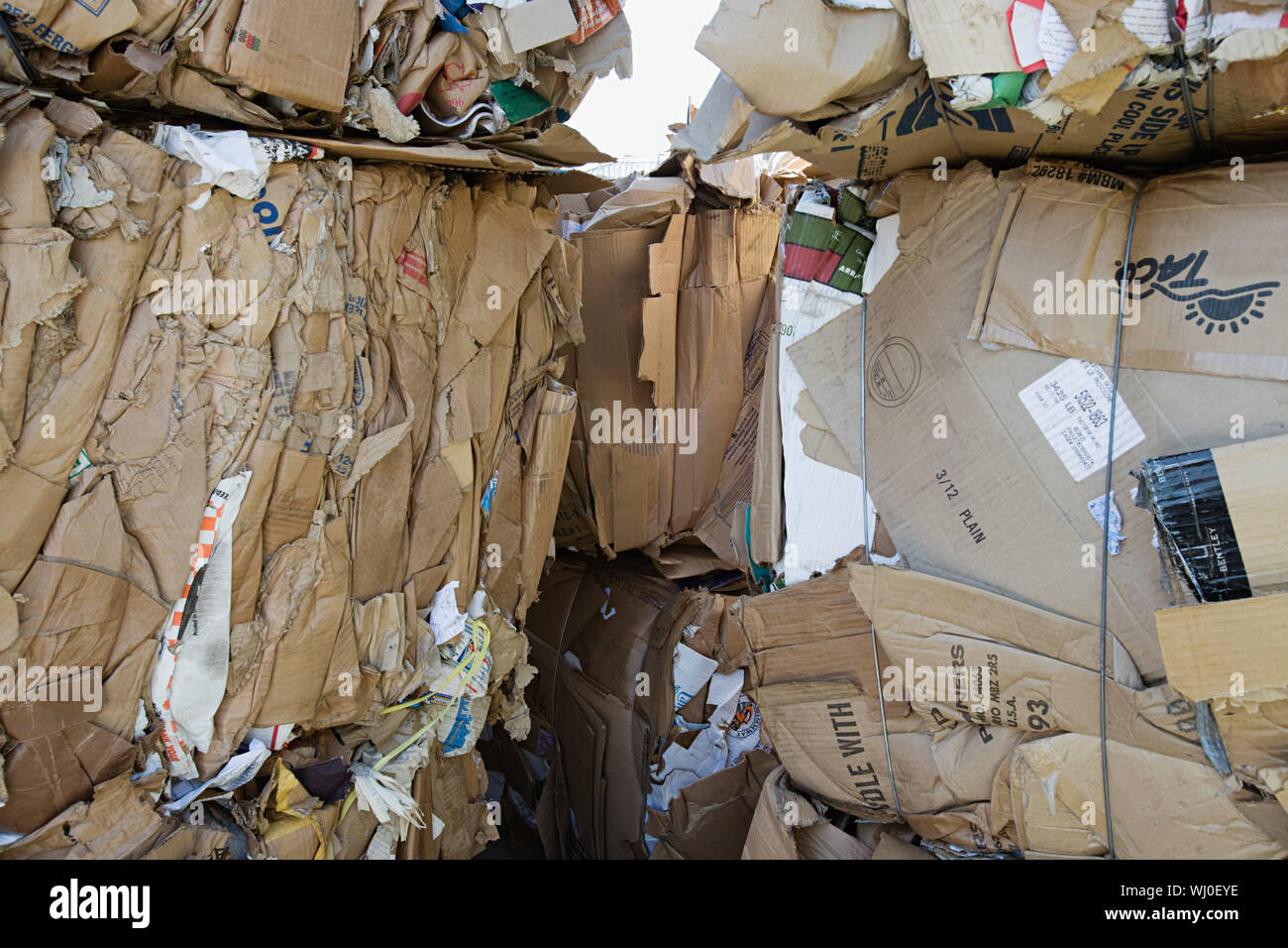 Pile of cardboard Stock Photo - Alamy