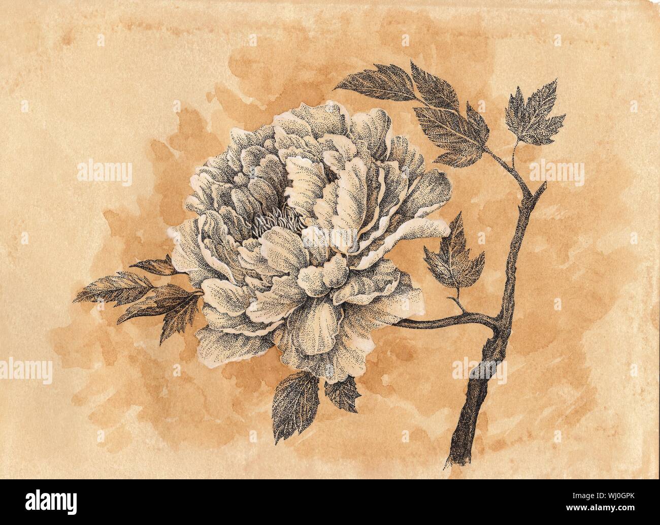 Pointillism Floral High Resolution Stock Photography and Images - Alamy