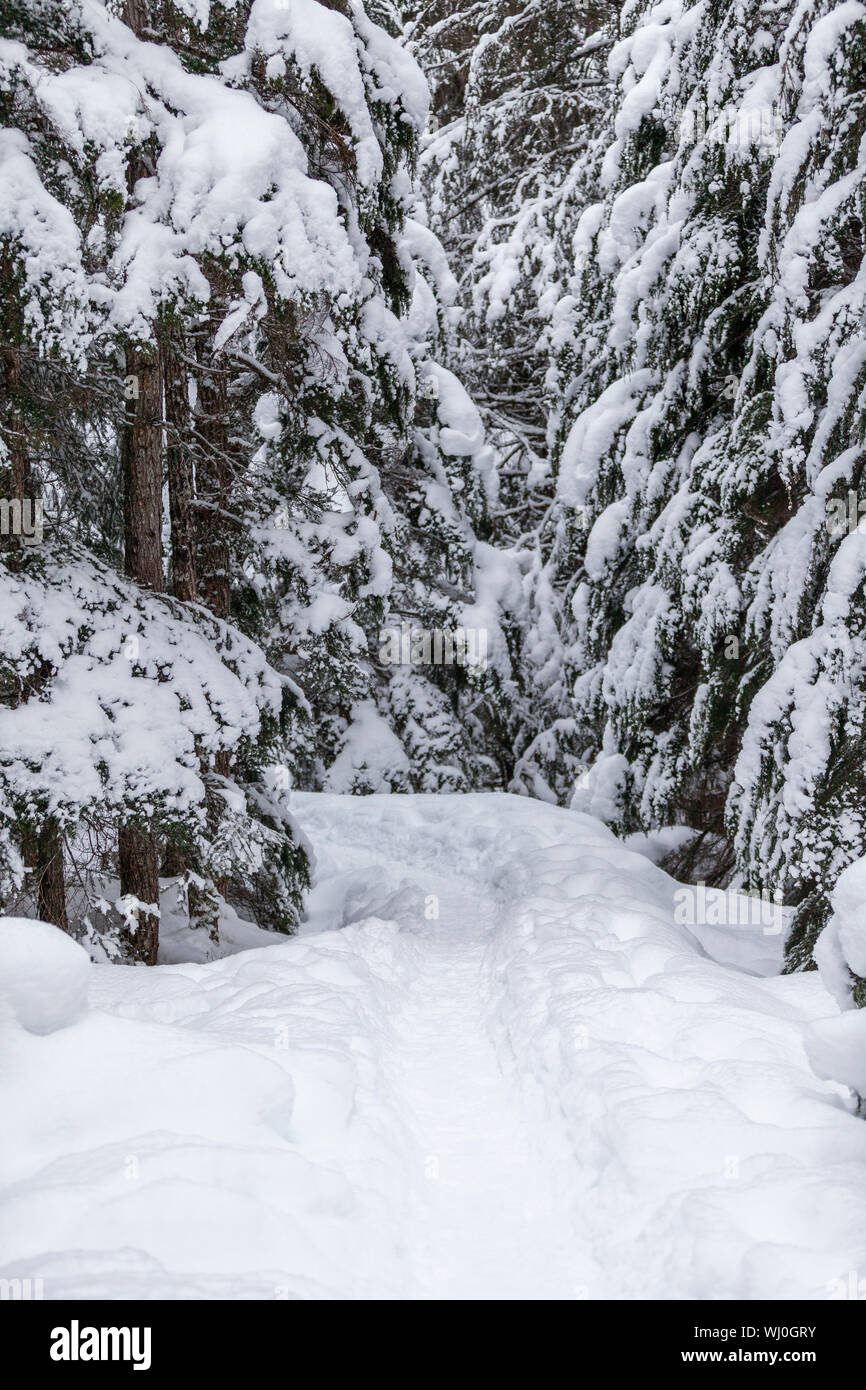 Icey path hi-res stock photography and images - Alamy