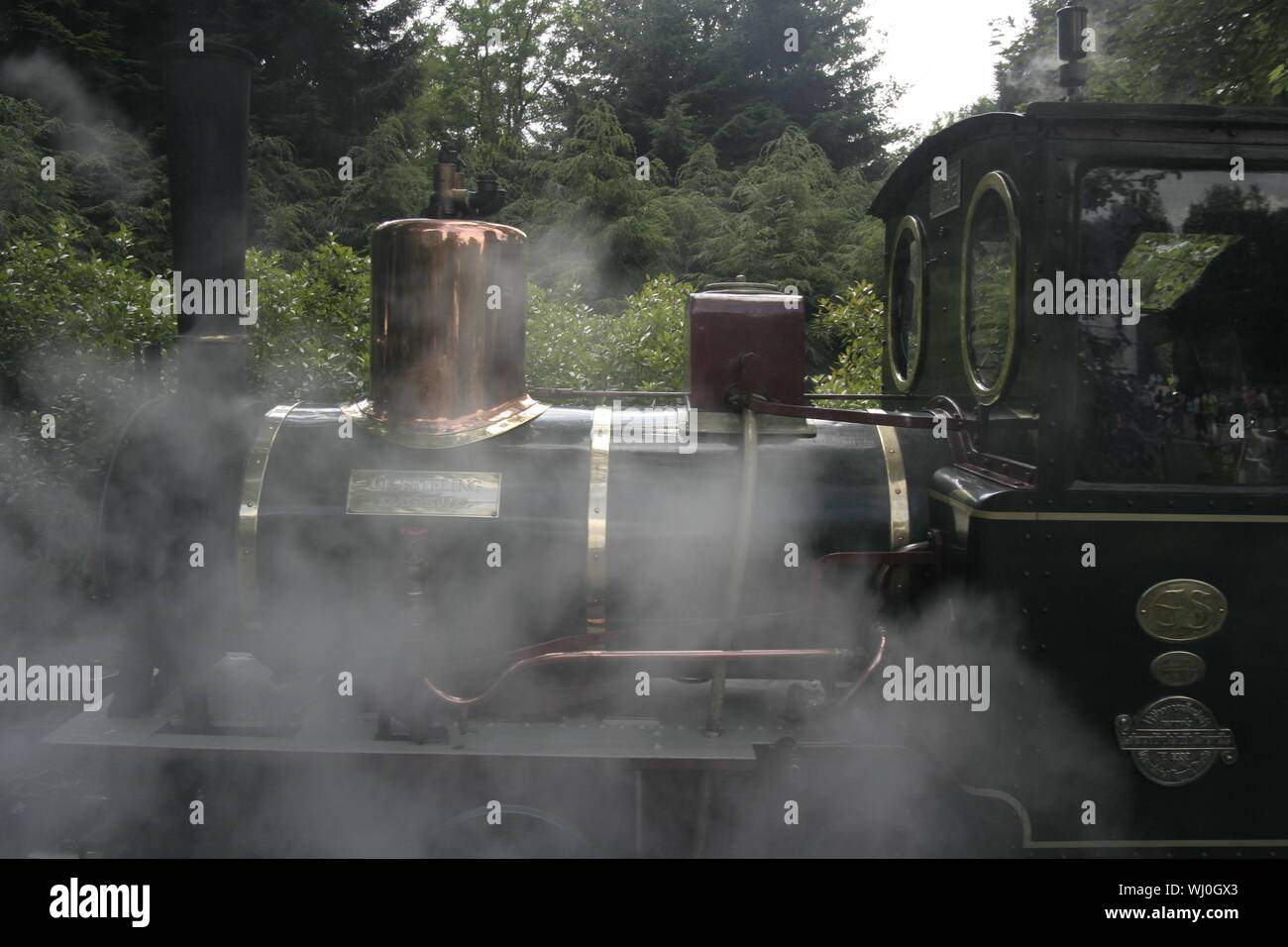 Train and trees hi-res stock photography and images - Alamy