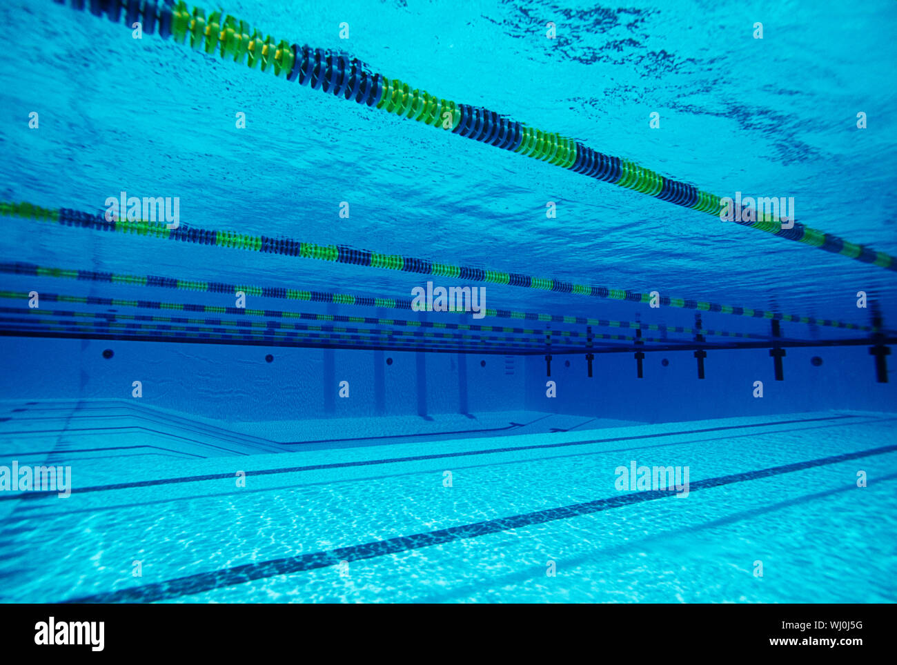 Empty swimming pool with lane markers Stock Photo - Alamy