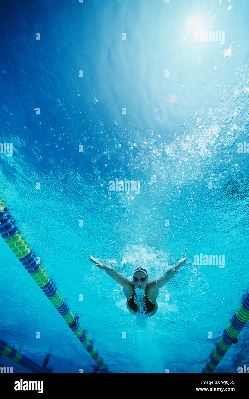 Underwater view of swimmer in pool Stock Photo - Alamy