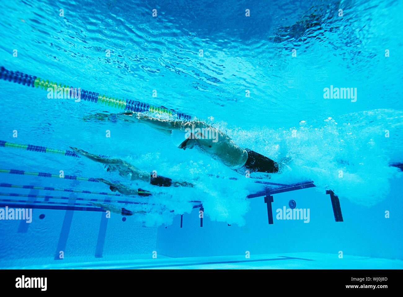 Male swimmers racing in pool, underwater view Stock Photo - Alamy
