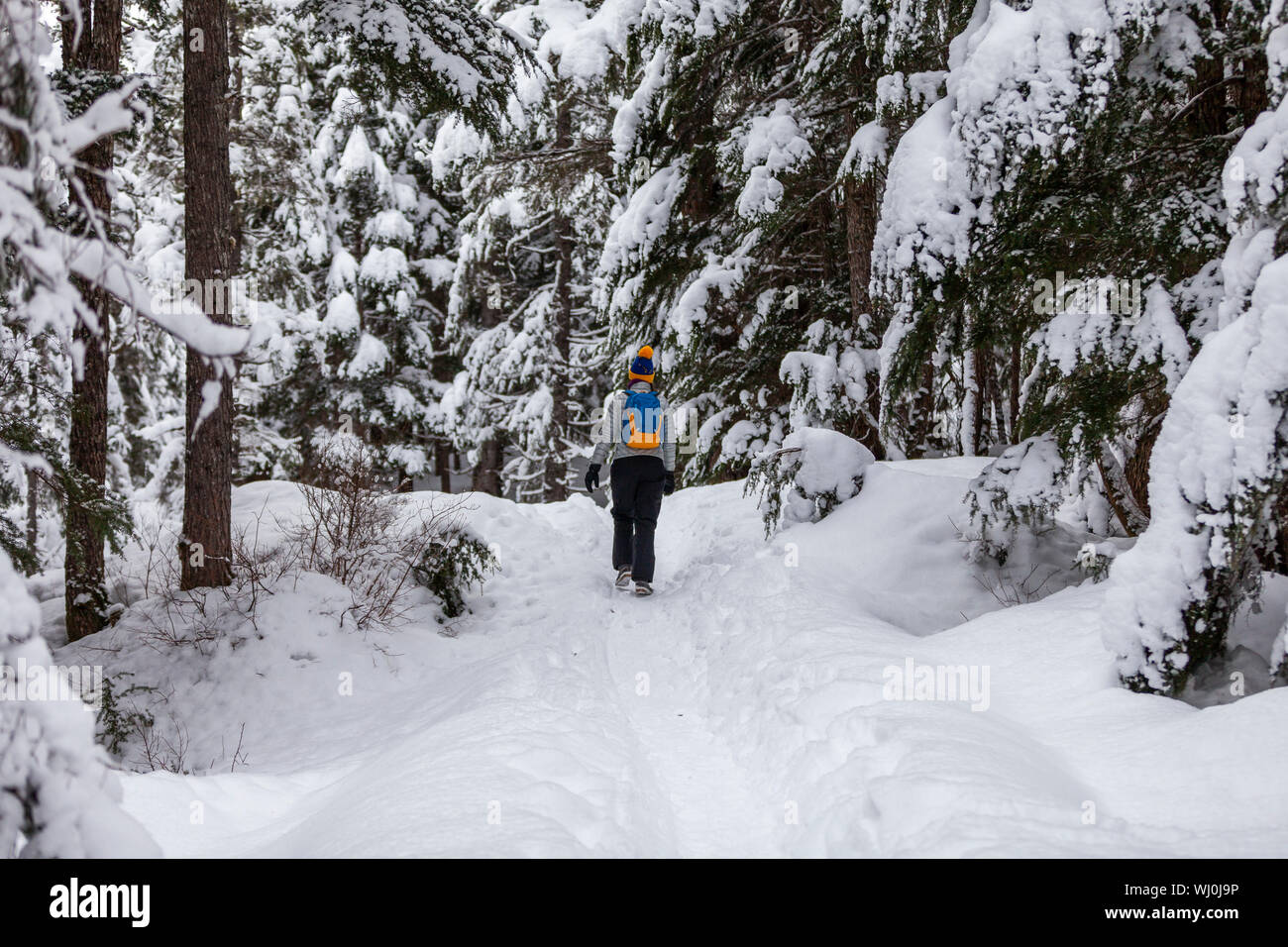 Exploring a snowy trail hi-res stock photography and images - Alamy