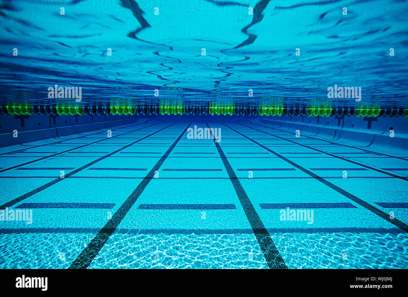 Underwater view of a swimming pool Stock Photo - Alamy