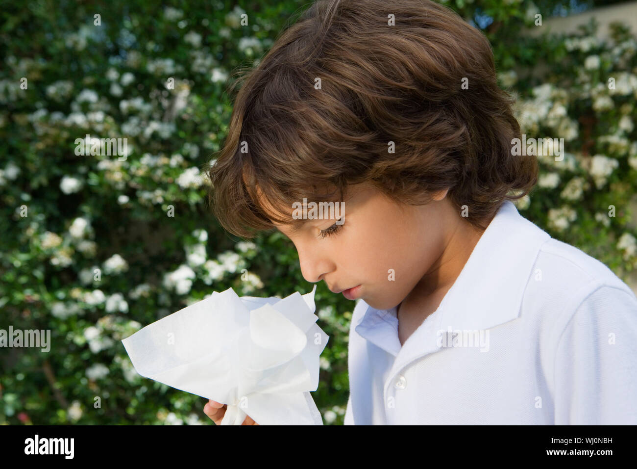 Little Boy with a Cold Stock Photo - Alamy