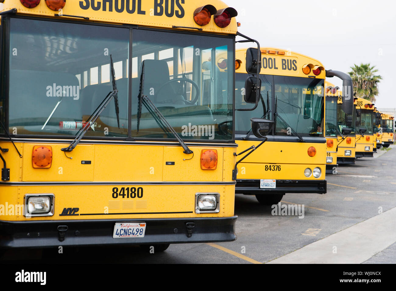 School Busses Parked in Parking Lot Stock Photo - Alamy