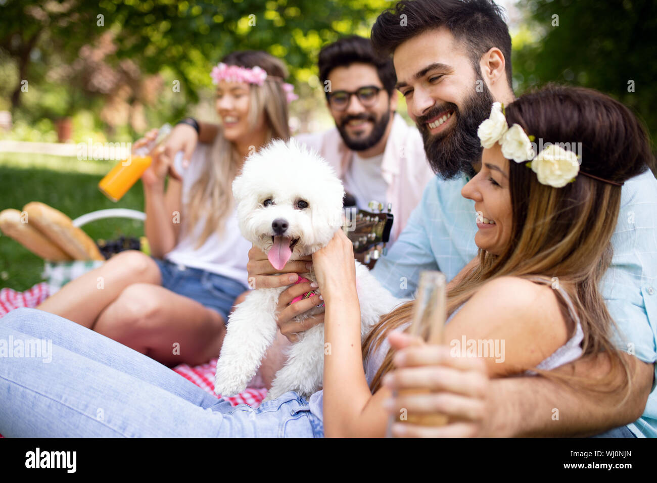 Summer, vacation, music and recreation time concept. Group of friends have picnic outdoor Stock ...
