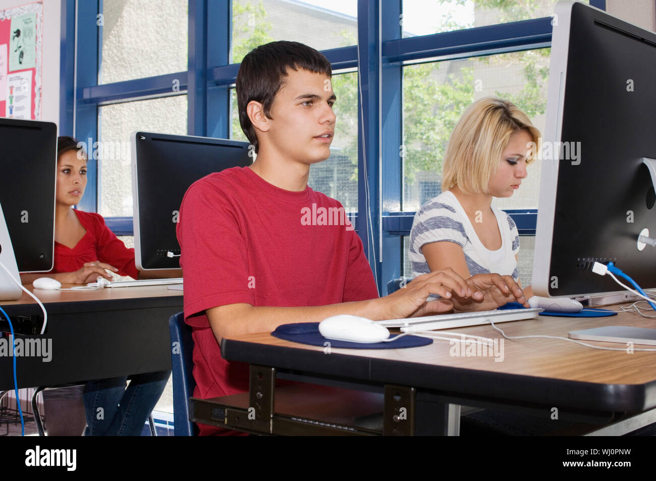Multiethnic students sitting together in computer class Stock Photo - Alamy