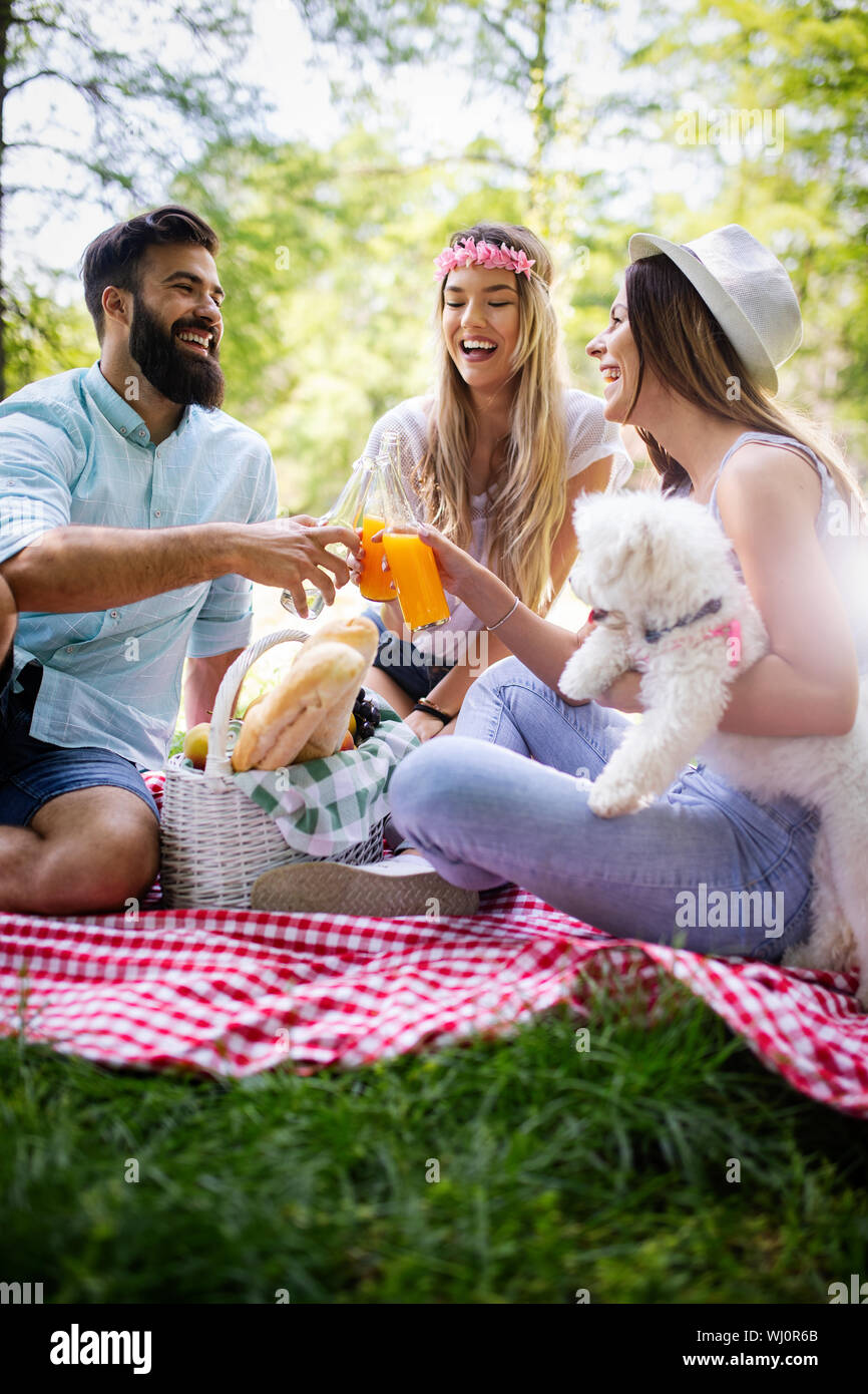Group at picnic group at picnic hi-res stock photography and images - Alamy