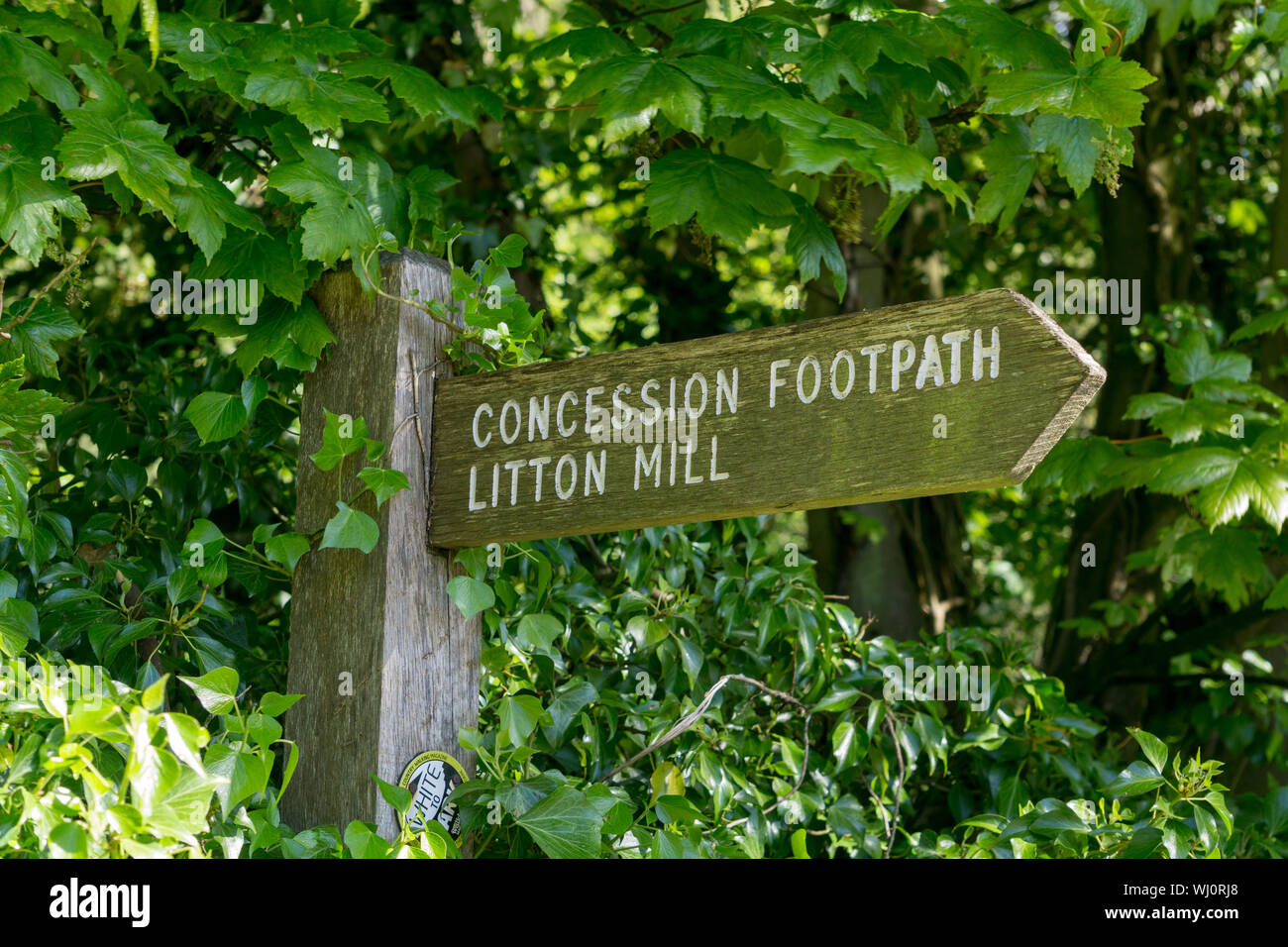 British concession hi-res stock photography and images - Alamy