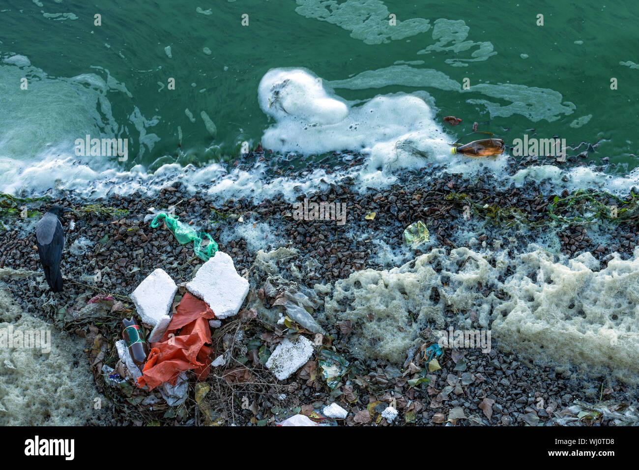 Plastic pollution of the river. Green water of the river. Ecological ...