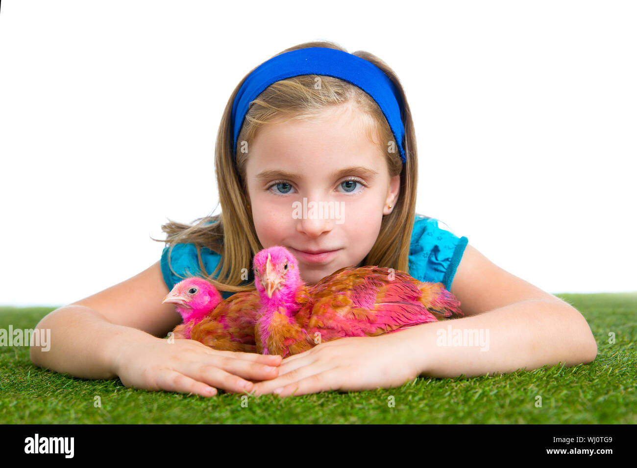 breeder hens kid girl rancher farmer hug chicken chick white background ...