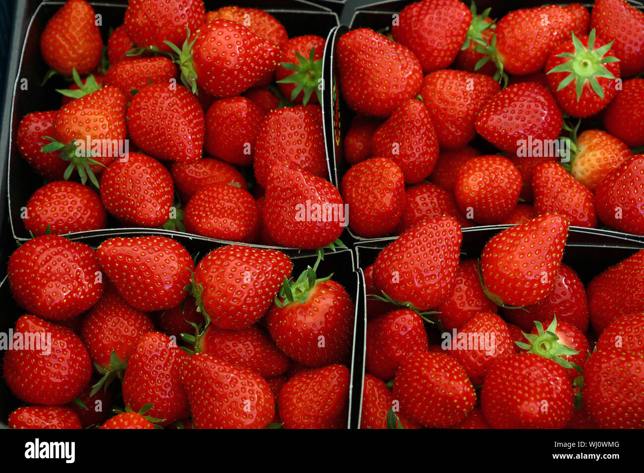Boxes strawberries hi-res stock photography and images - Alamy