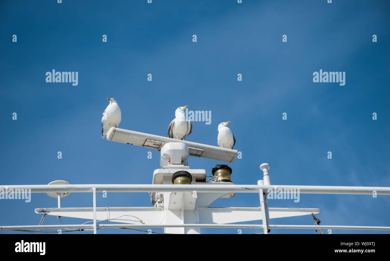 Marine radar antenna on hi-res stock photography and images - Alamy