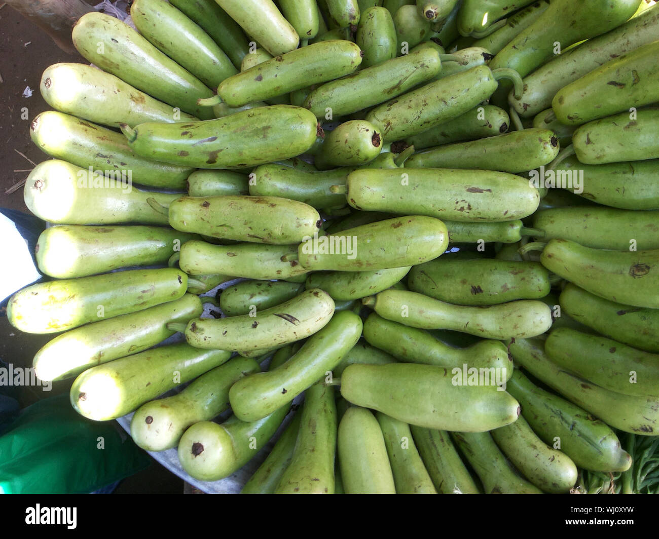 Cucumbers for sale at the market stall hi-res stock photography and ...