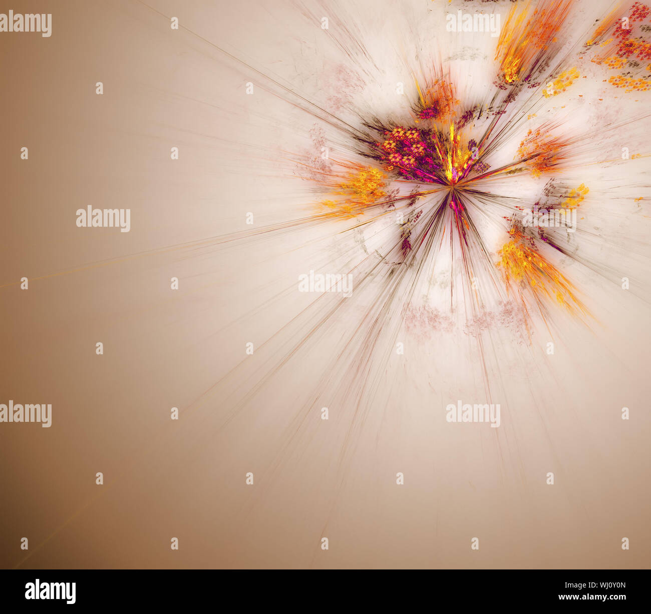 Nice fractal hi-res stock photography and images - Alamy