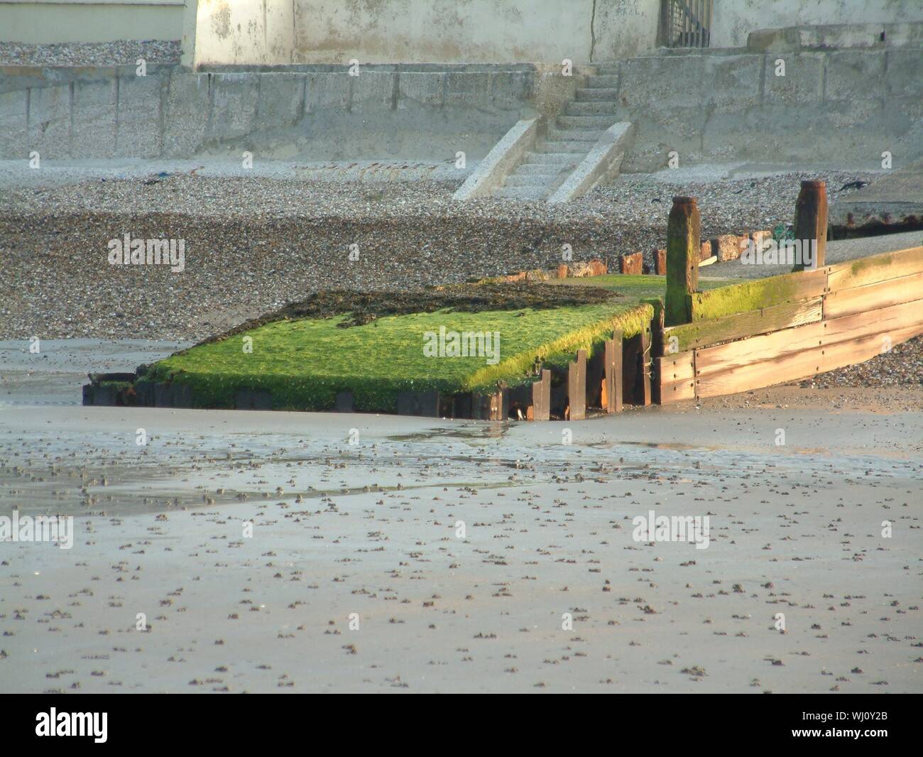 Moss covered building hi-res stock photography and images - Alamy