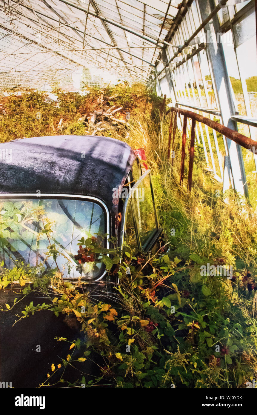 Car Rotting High Resolution Stock Photography and Images - Alamy