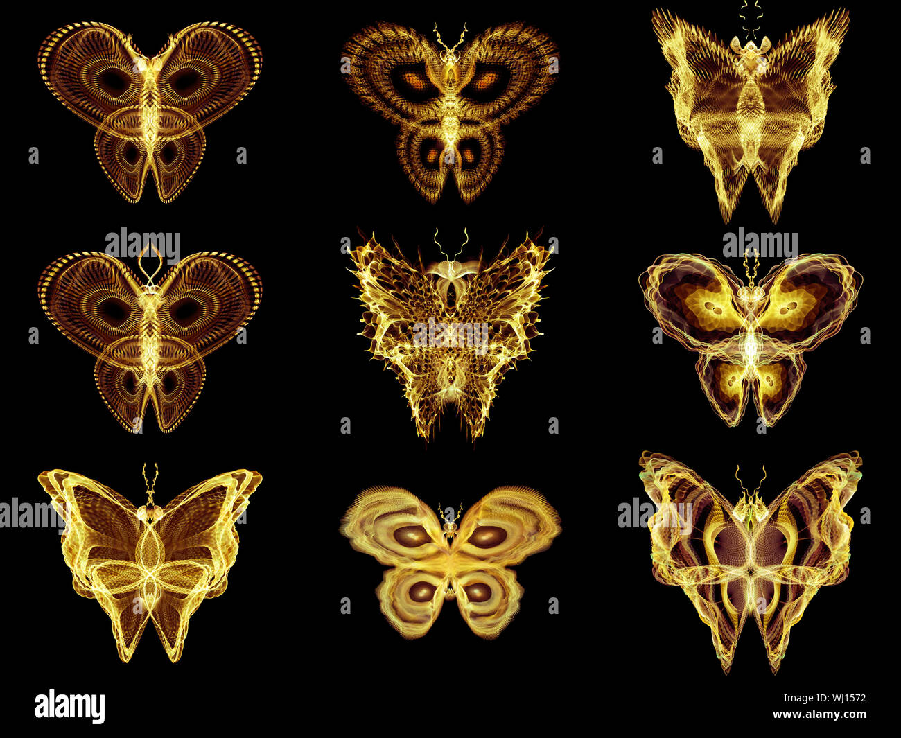 Fractal Butterflies series. Arrangement of isolated fractal butterflies ...