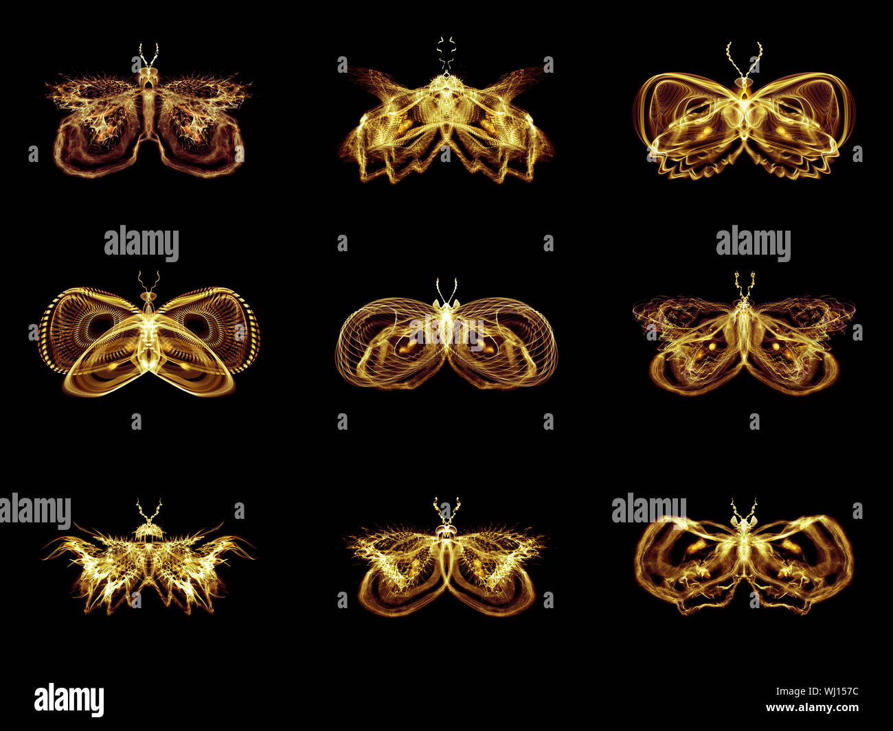 Fractal Butterflies series. Arrangement of isolated fractal butterflies ...