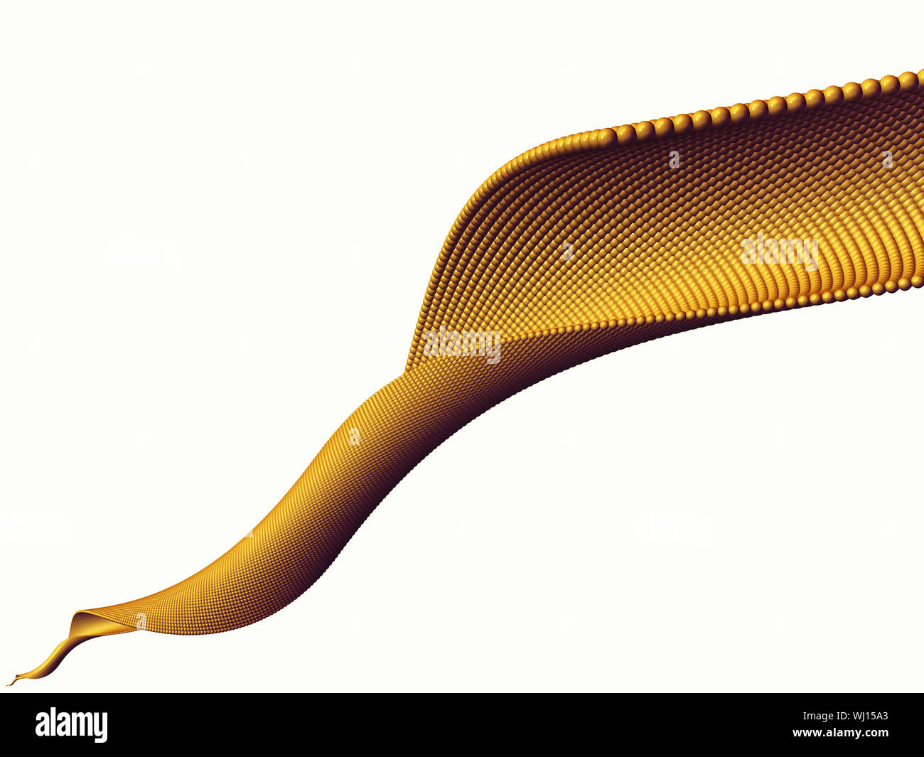 Golden Geometry series. Background of golden spiral elements for your ...