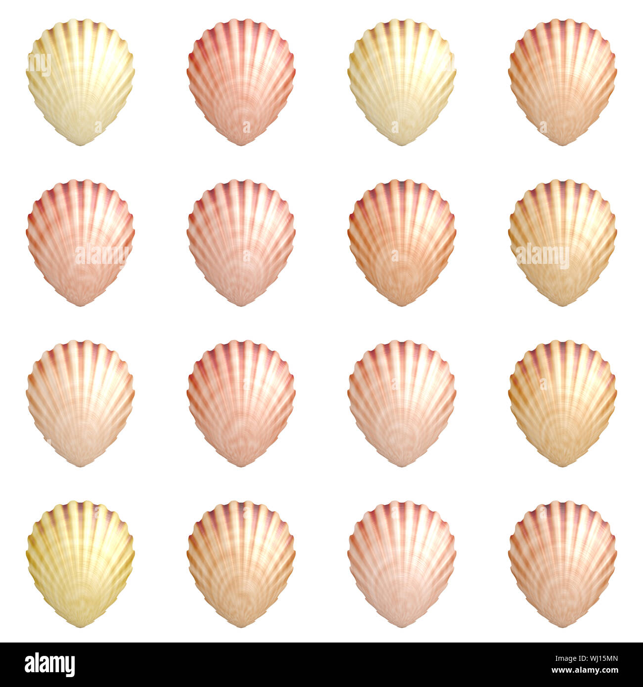 Seashell Background with a Aquatic Theme Art Stock Photo - Alamy