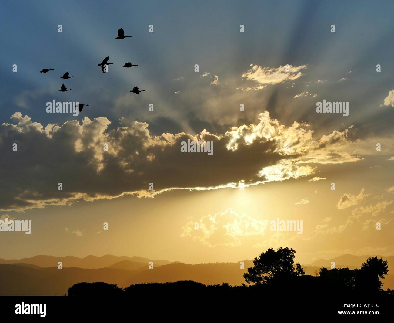Flying geese sunset hi-res stock photography and images - Alamy