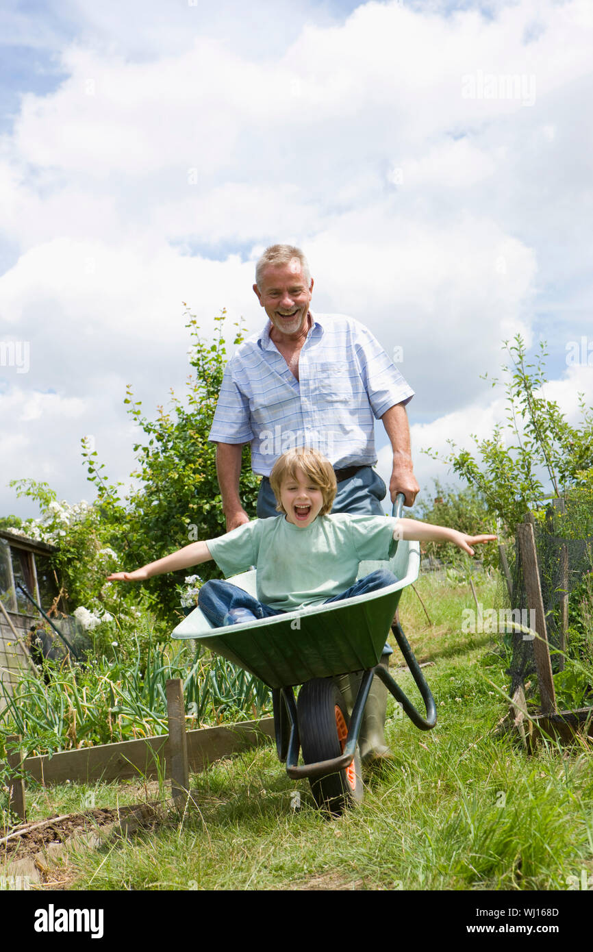Grandfather giving grandson ride in wheelbarrow in community garden ...