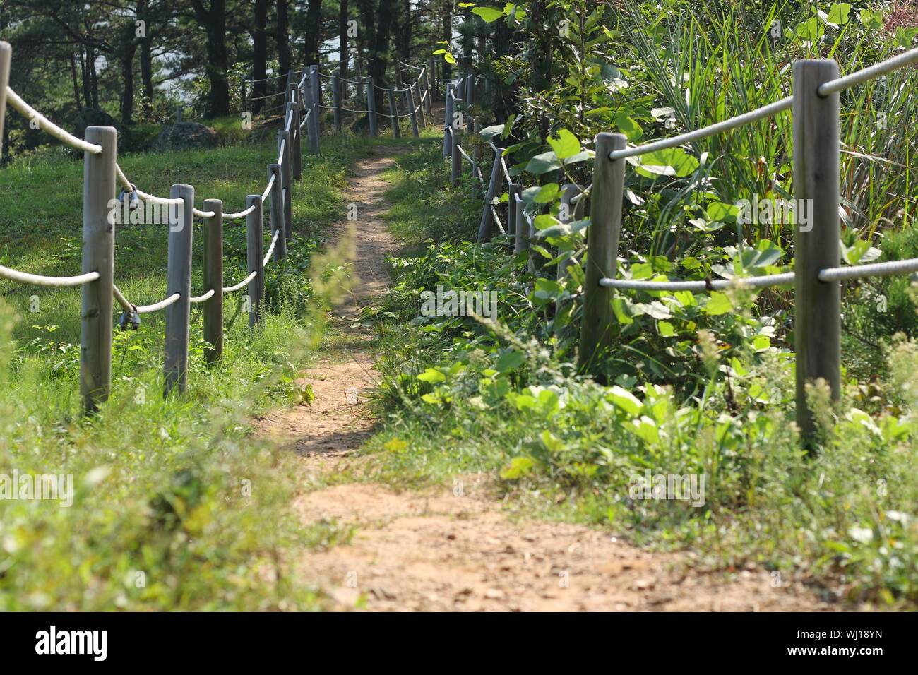 Rope Railings High Resolution Stock Photography and Images - Alamy