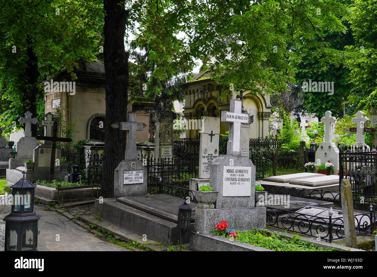 Serban Voda cemetery (commonly known as Bellu cemetery) is the largest ...