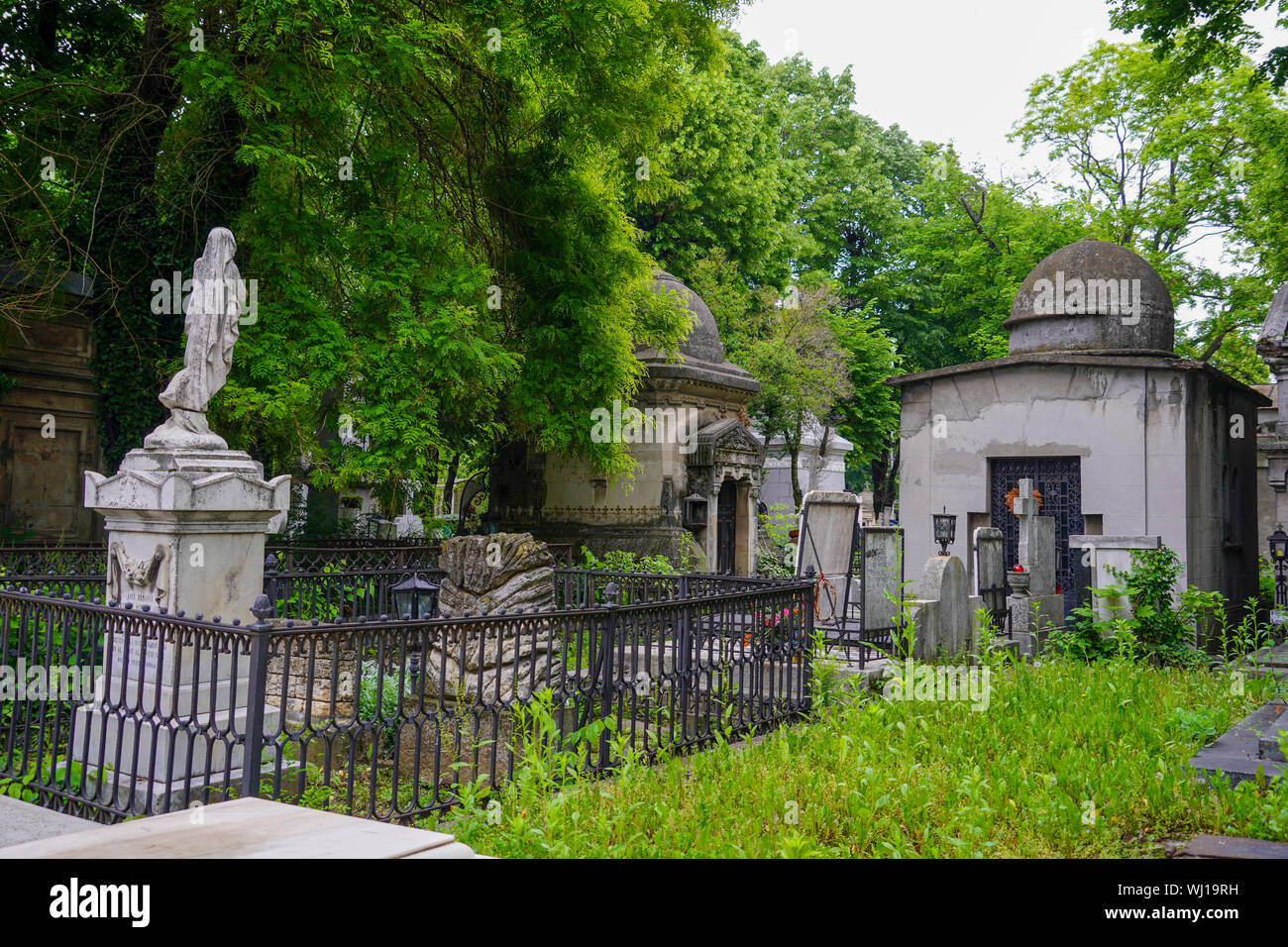 Serban Voda cemetery (commonly known as Bellu cemetery) is the largest ...