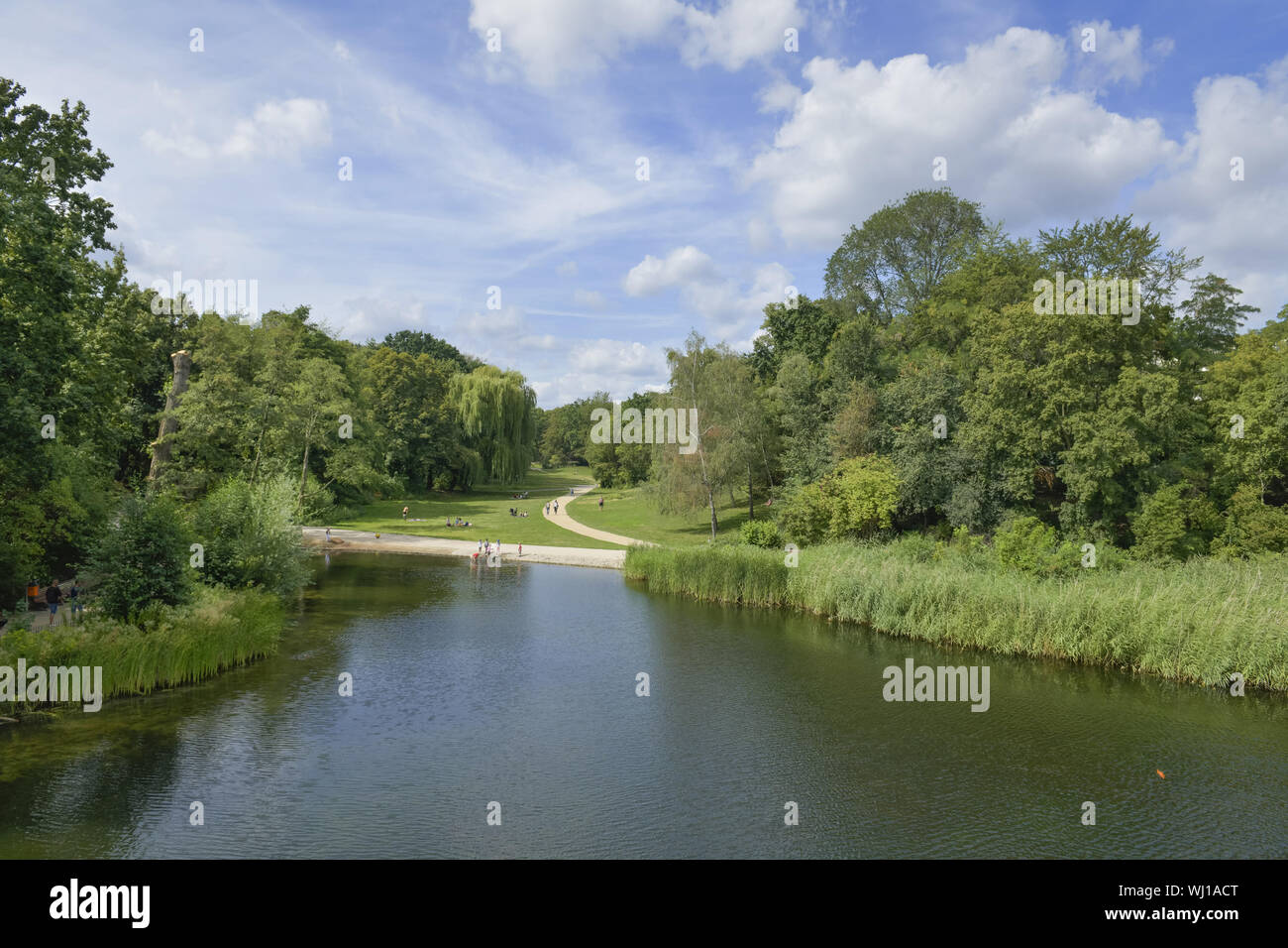 Tree, trees, Berlin, Germany, duck pond, green arrangement, green ...