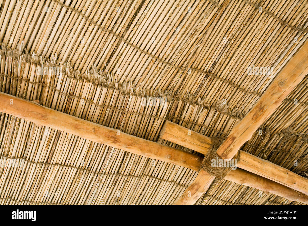 Dubai, UAE, Detail of a wood thatch roof at the Heritage House Museum ...