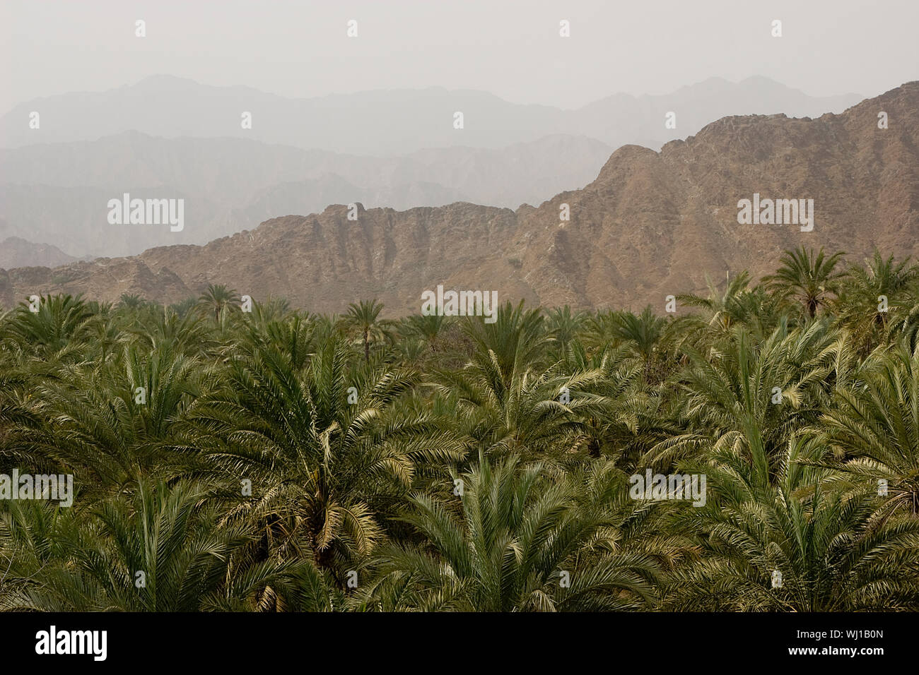 Bidyah, UAE, View from watchtower of area surrounding Al Bidyah Mosque ...