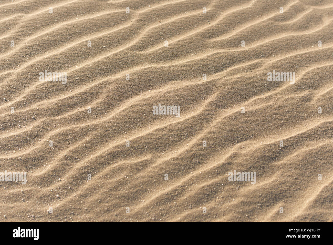 Sand and wind texture. Golden sand beach background Stock Photo - Alamy