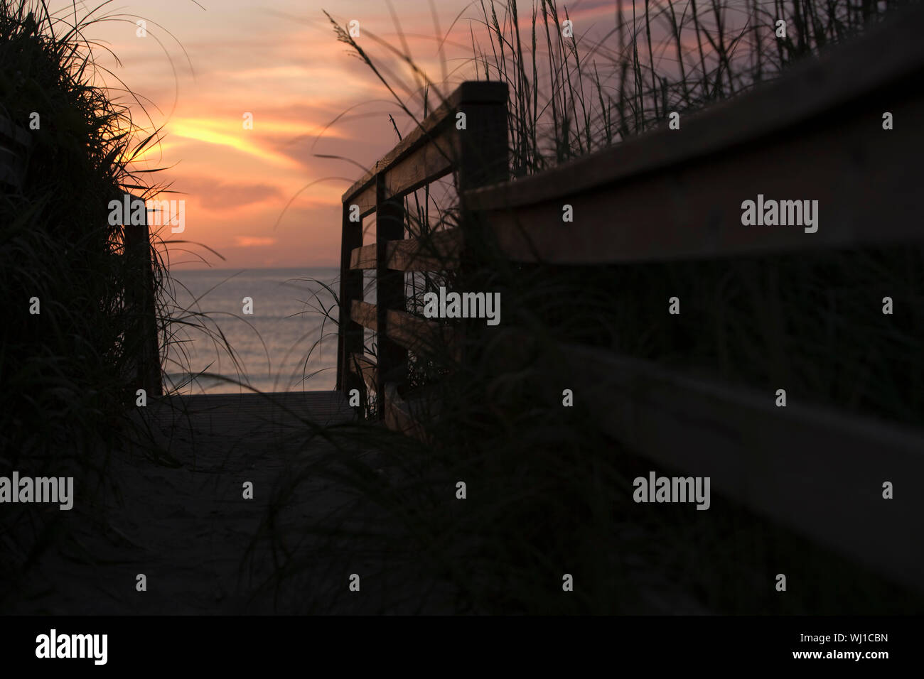 View of sea through pathway leading to beach Stock Photo - Alamy