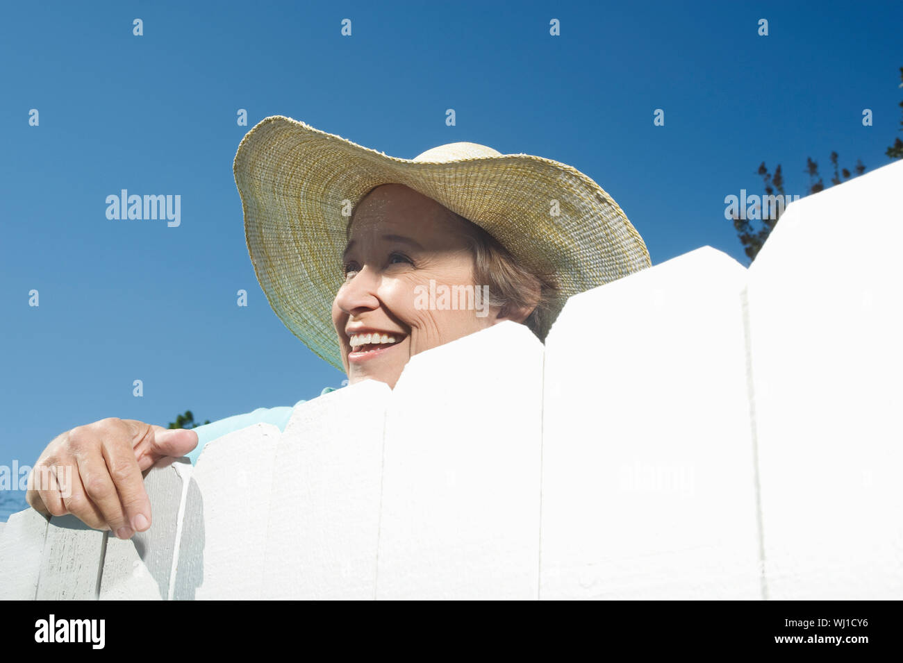 Neighbour fence hi-res stock photography and images - Alamy