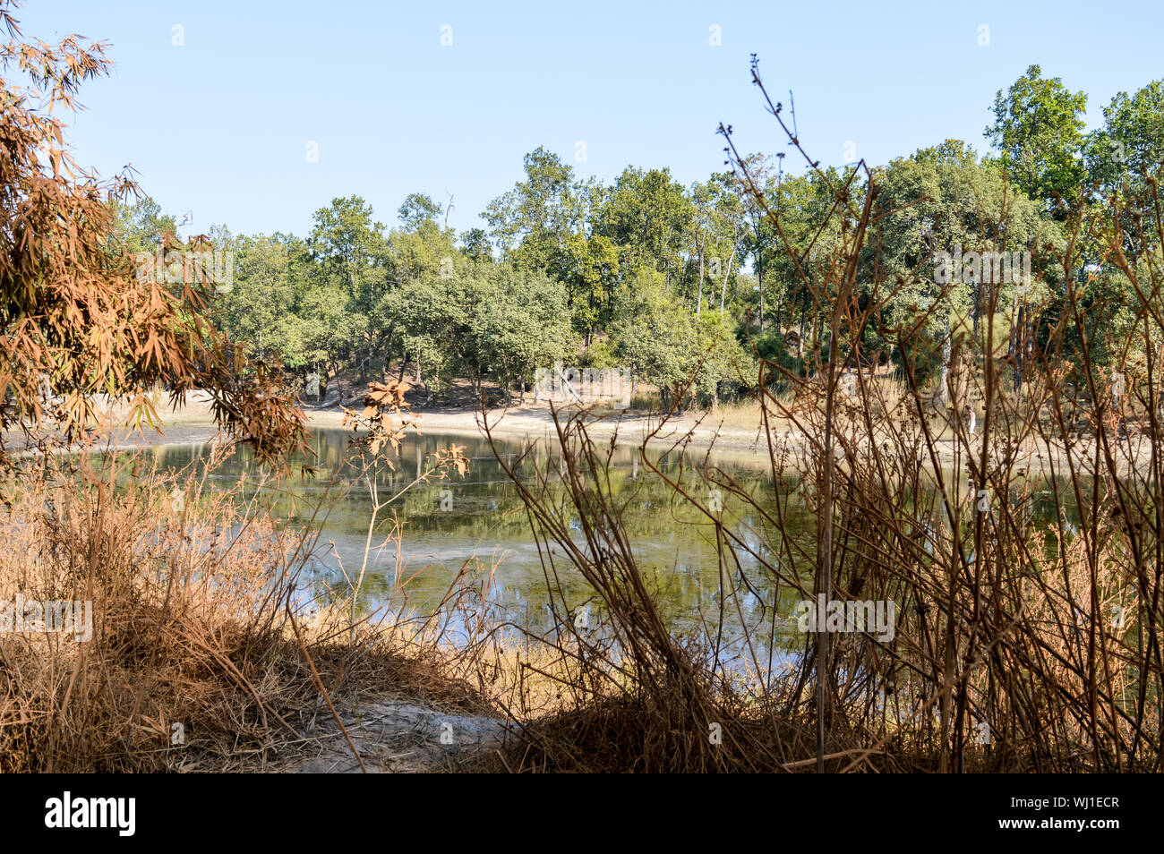 Lake Landscape view at coastal areas of Vindhya Hills inside ...