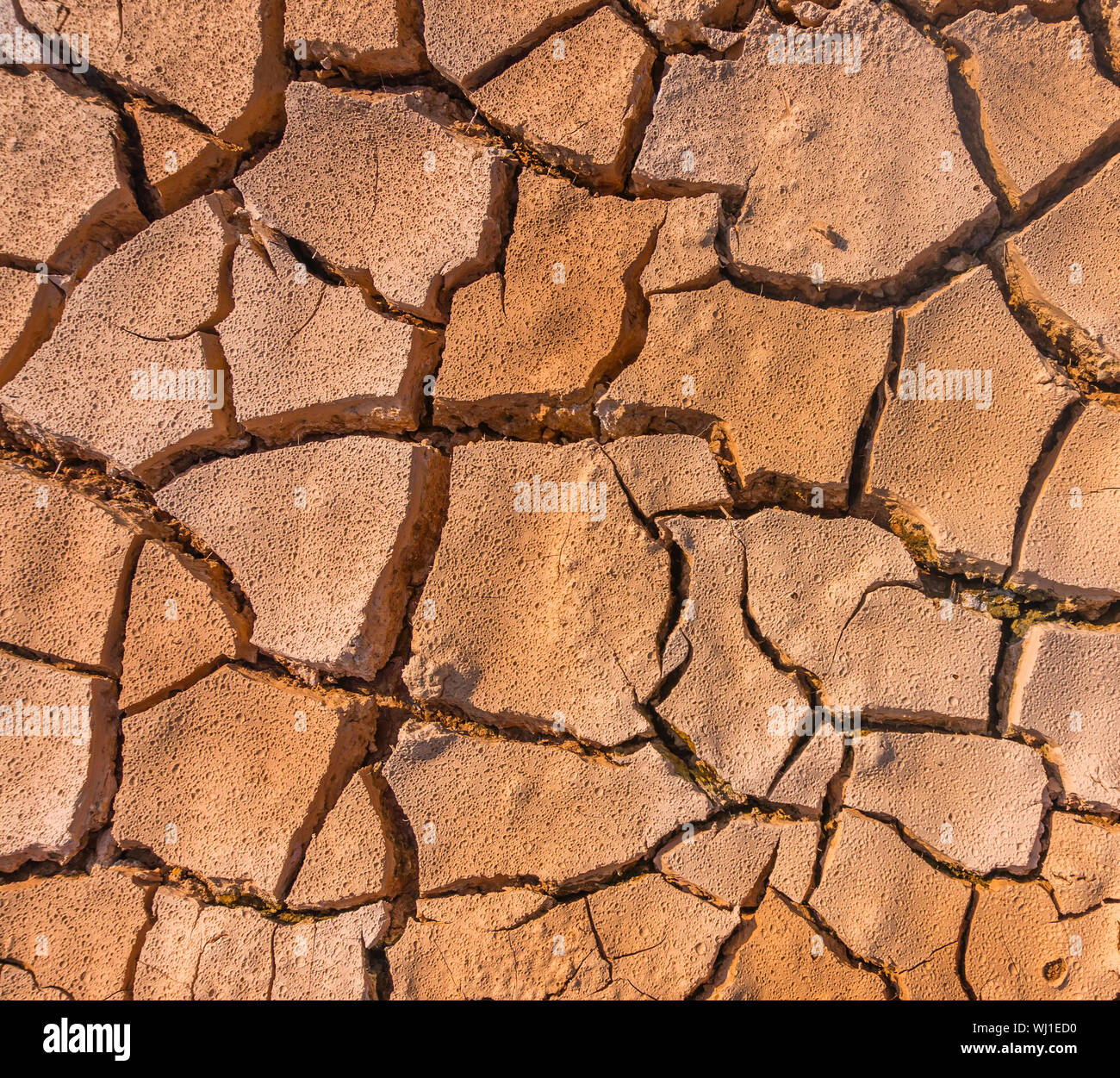 Dry cracked barren landscape hi-res stock photography and images - Alamy