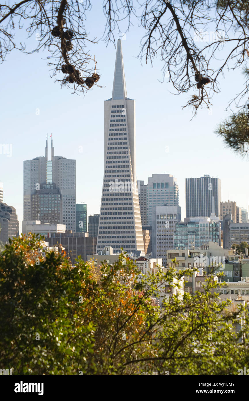 The Transamerica Pyramid - the tallest skyscraper in San Francisco ...