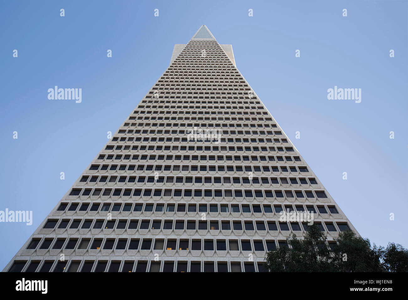Low angle view of The Transamerica Pyramid - the tallest skyscraper in ...