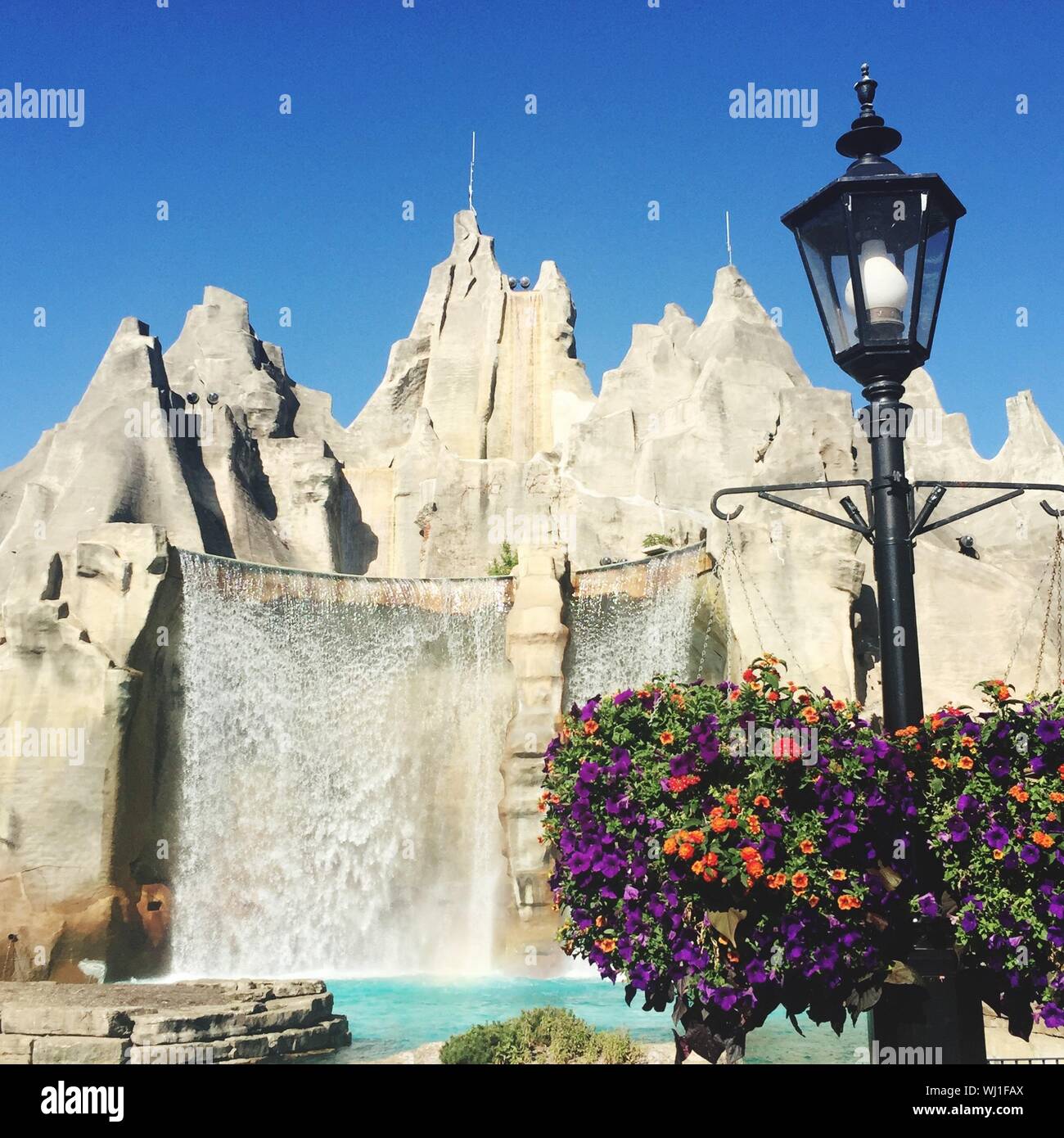 Victoria flowers hi-res stock photography and images - Alamy