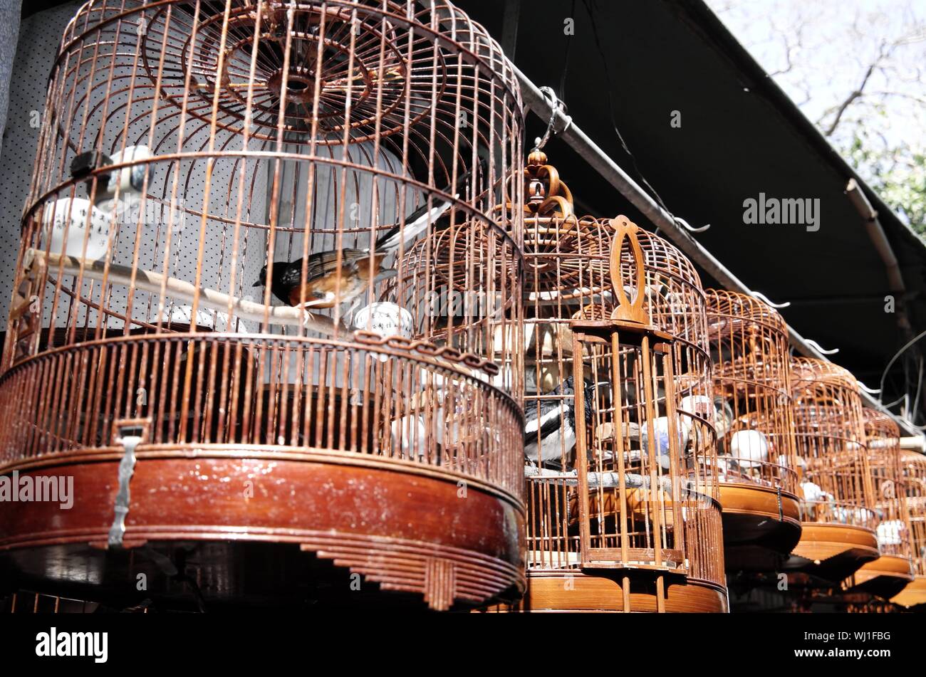 Row cages hi-res stock photography and images - Alamy