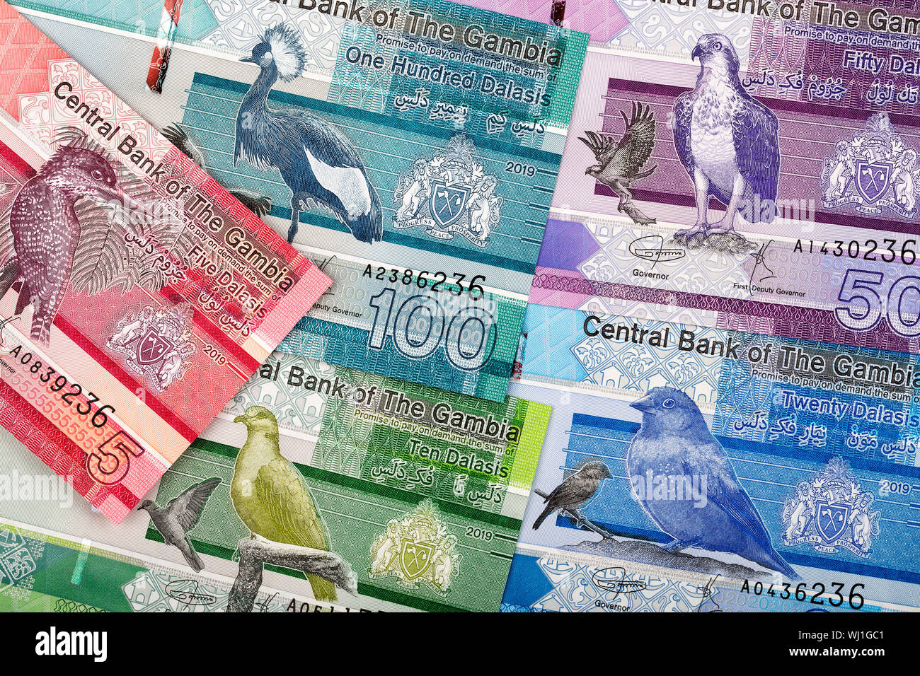 Gambian Dalasi High Resolution Stock Photography and Images - Alamy