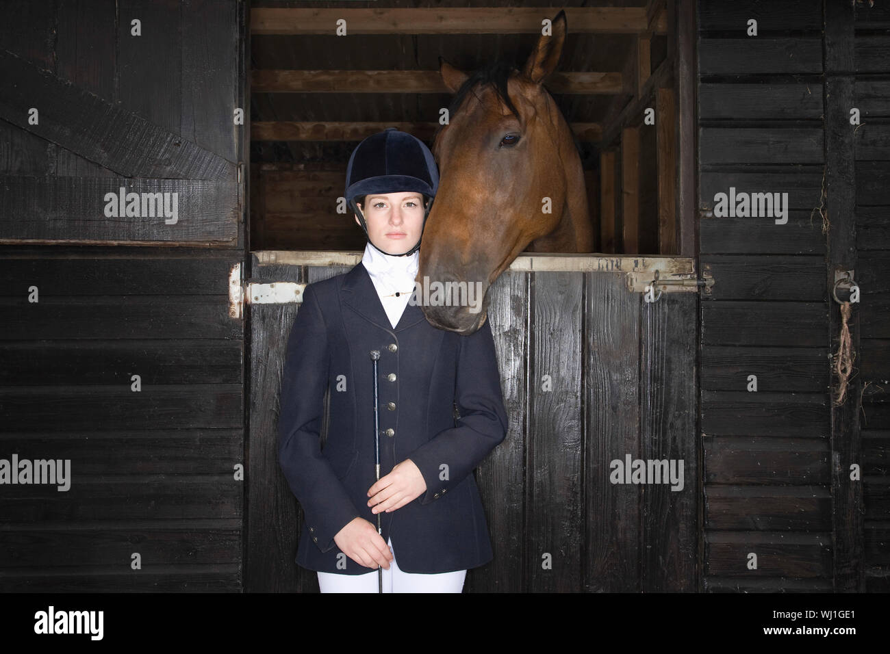 Portrait of a confident female horseback rider with horse in the stable ...
