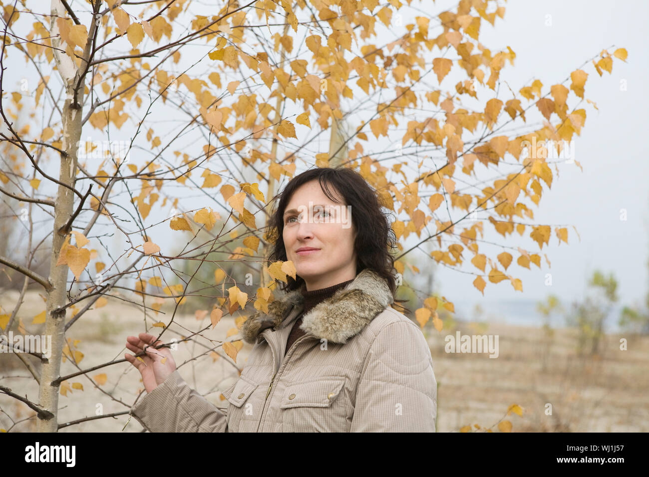 Thoughtful woman standing besides tree in field Stock Photo - Alamy