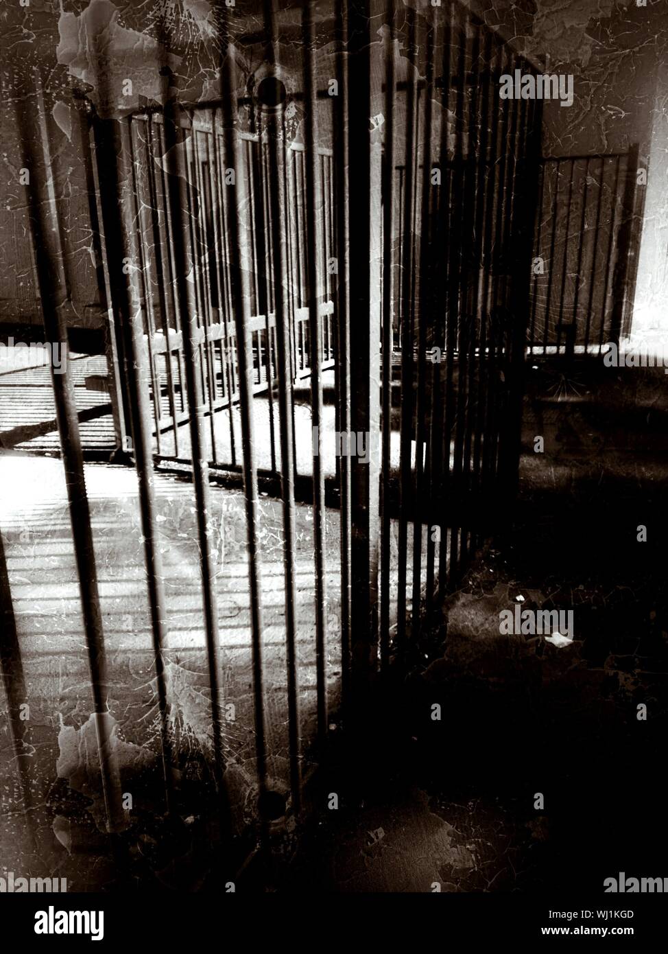 Empty cell hi-res stock photography and images - Alamy