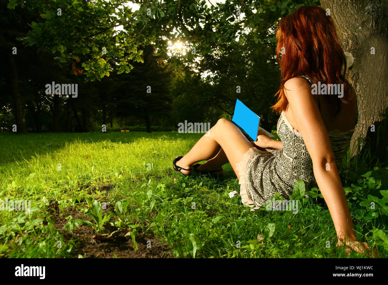 Young beautiful Woman sitting under the tree in forest Stock Photo - Alamy